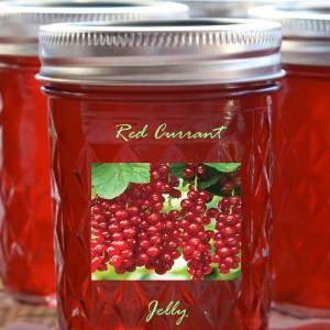 Red Currant Jelly | Cooking Mamas